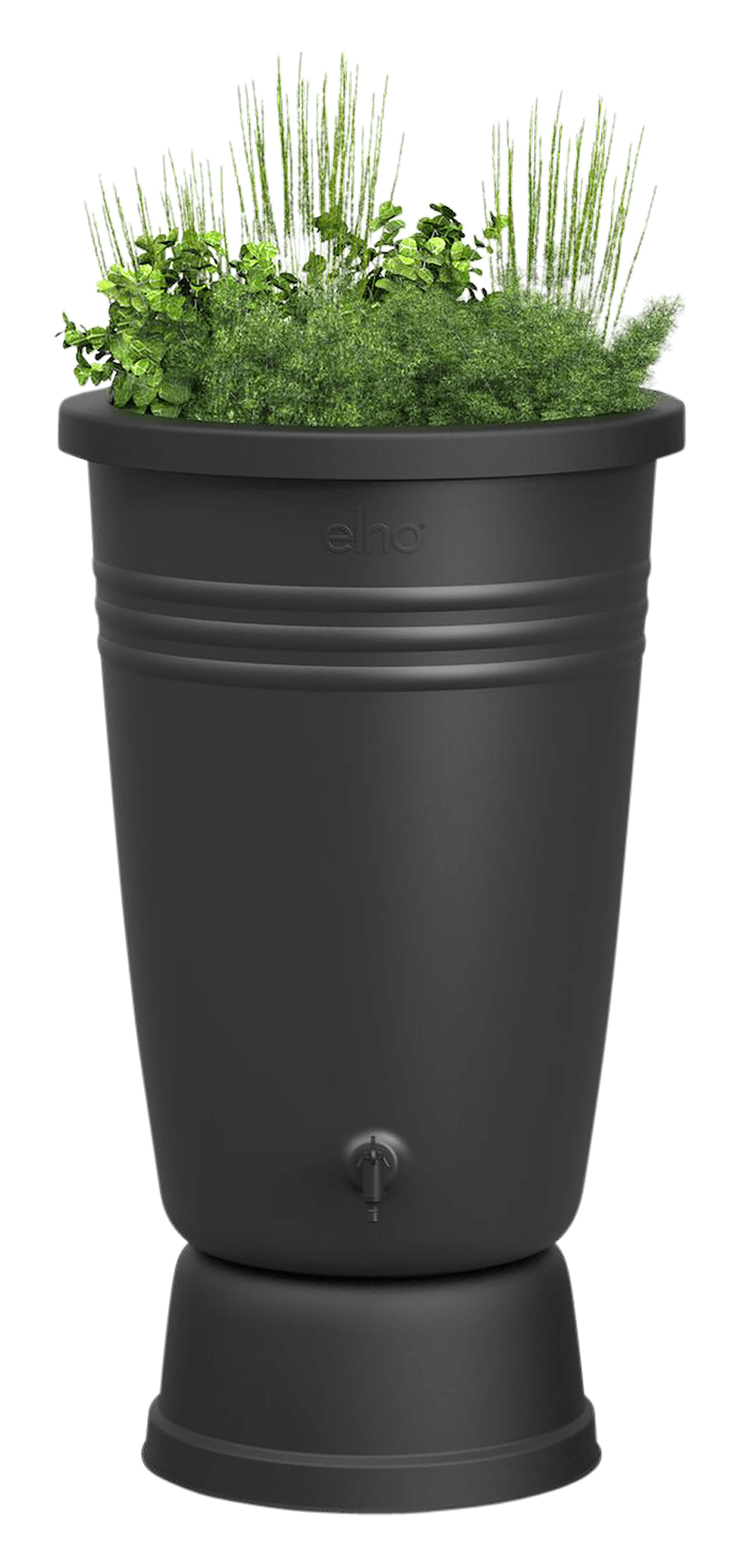 elho Rain barrel green basics plus 200 l | Buchmann Direct Electronics AG
